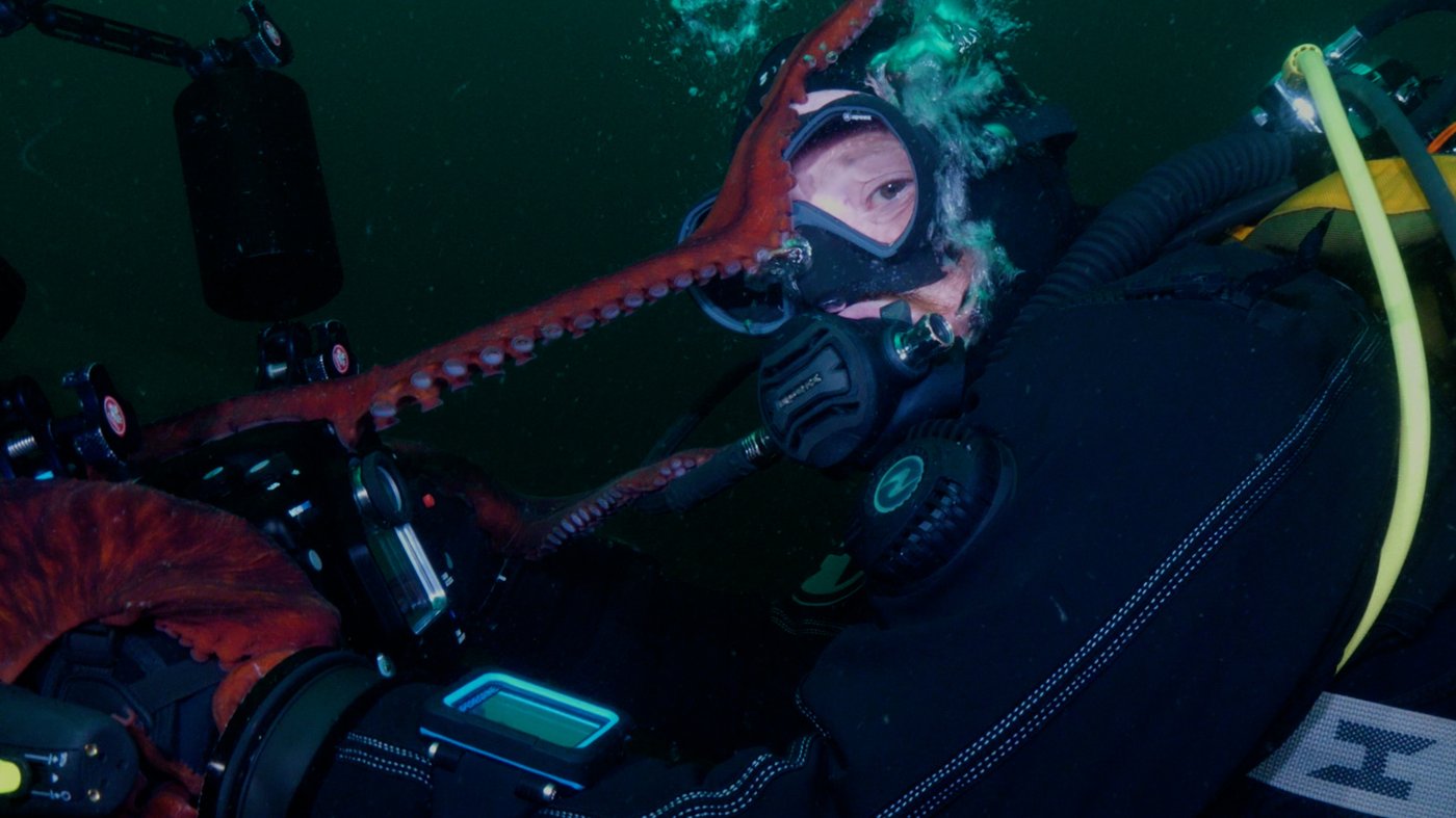 Giant octopus shoots video of self after claiming camera from BC divers