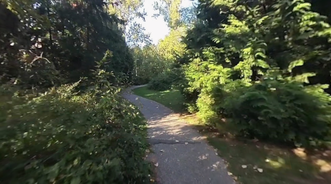 Vancouver council pushes to protect Champlain Heights forest trails