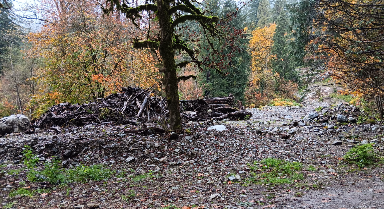 One year later, Coquitlam neighbours clean debris from fatal mudslide
