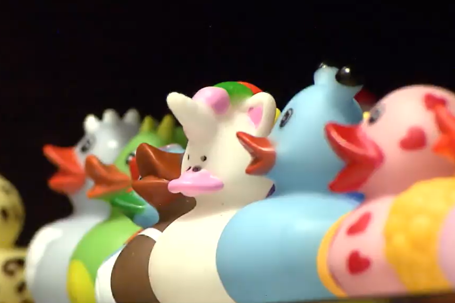 Rubber duck museum waddles across Washington-B.C. border