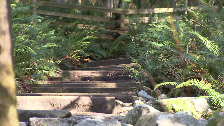 Grouse Grind re-closes after winter weather on North Shore